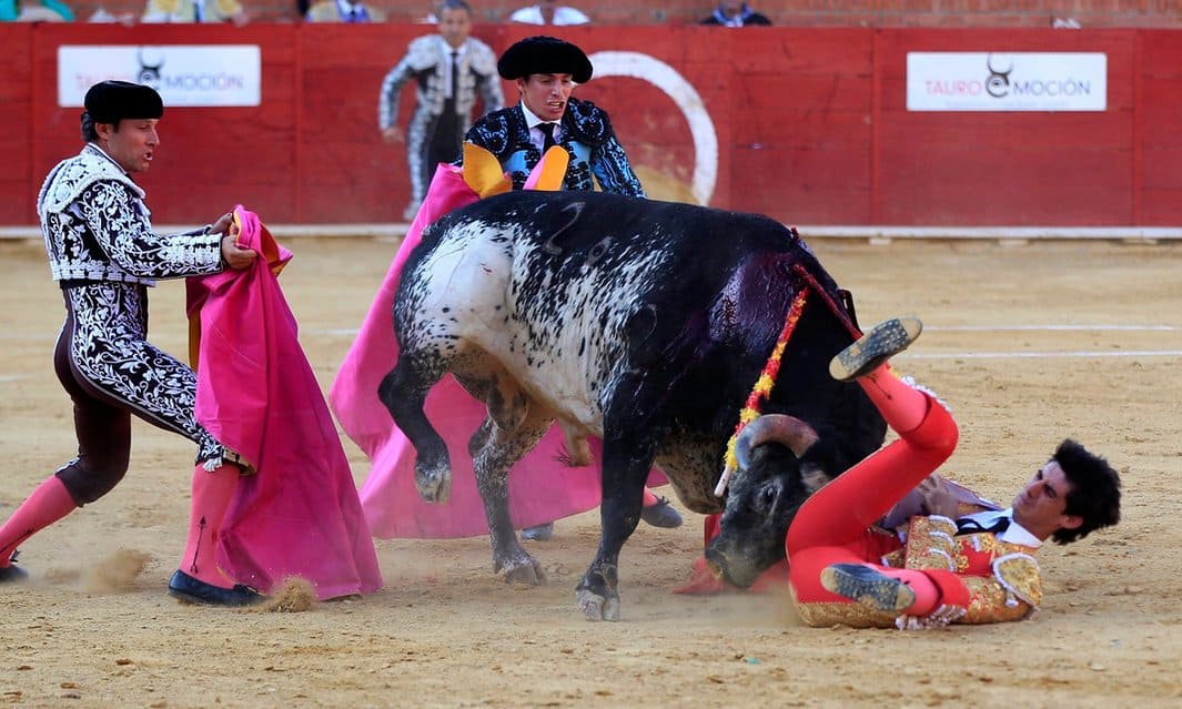 Spanish Matador killed by bull first time in 30 years