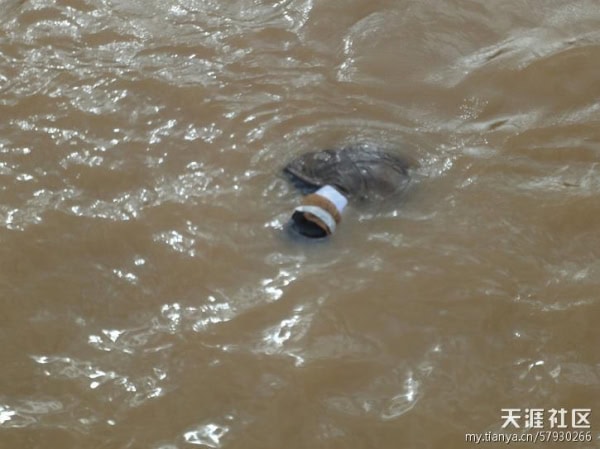 The thought they was a dead body floating in the river but when they ...