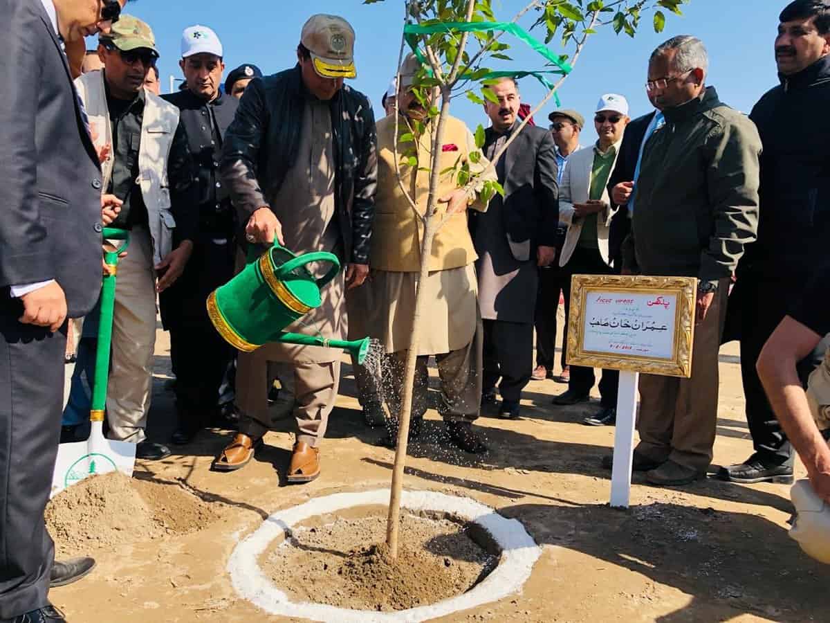 ‘Plant for Pakistan’: PM Imran launches 10 billion tree plantation ...
