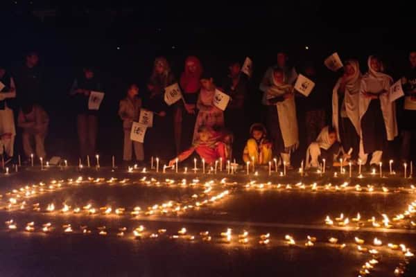 WWF-Pakistan, Wapda celebrate Earth Hour 2019