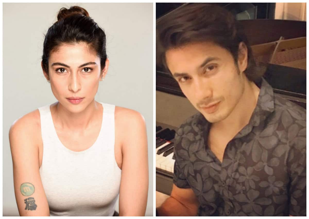 Meesha Shafi slapped with Rs10k fine in Ali Zafar defamation case