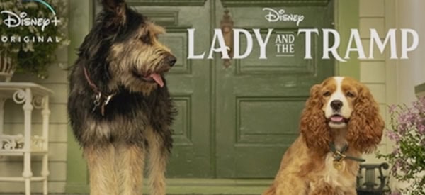 Disney reveals trailer of Lady and the Tramp live-action remake