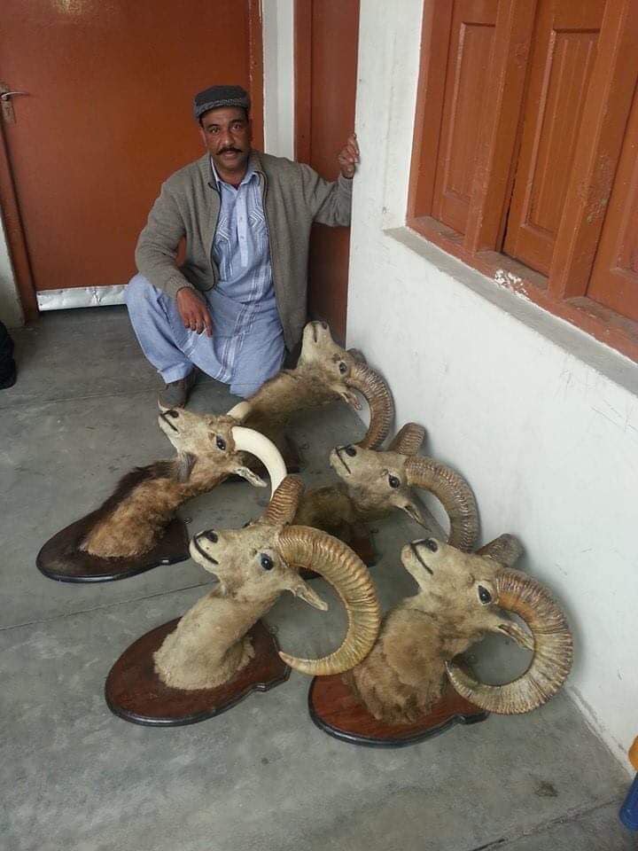 British-Pakistani man involved in illegal hunting arrested in Chakwal