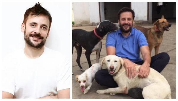 Tipu Sharif s adopted dogs poisoned to death