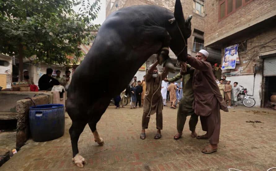 Nation celebrates second day of Eidul-Adha with religious fervor