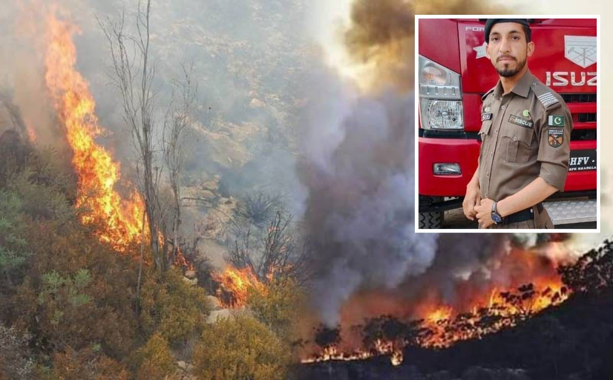 Pakistani firefighter loses life while battling forest fire in KP s Shangla