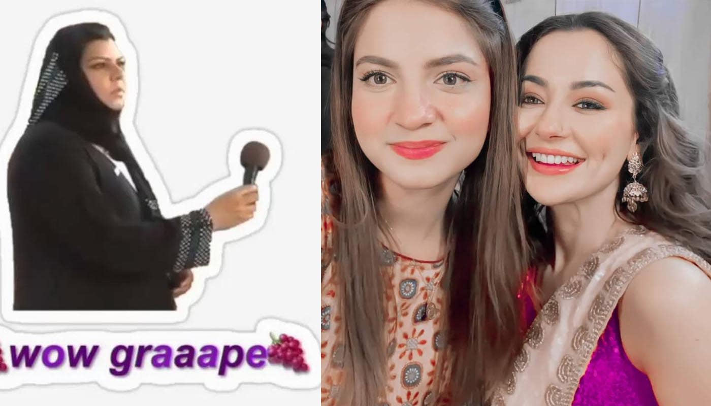 WATCH: Hania, Dananeer recreate viral grape meme in a hilarious way