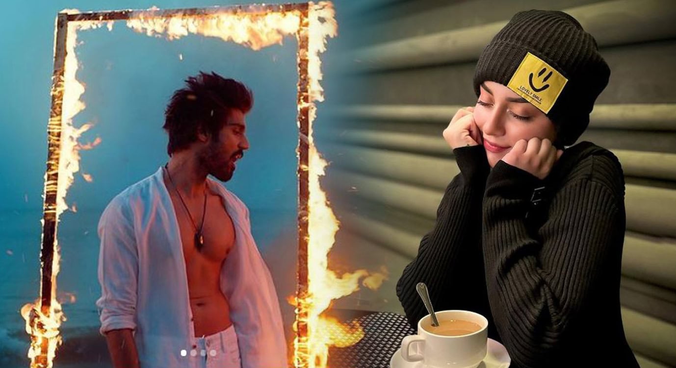 Ali Tariq, Alizeh Shah tease fans about upcoming project