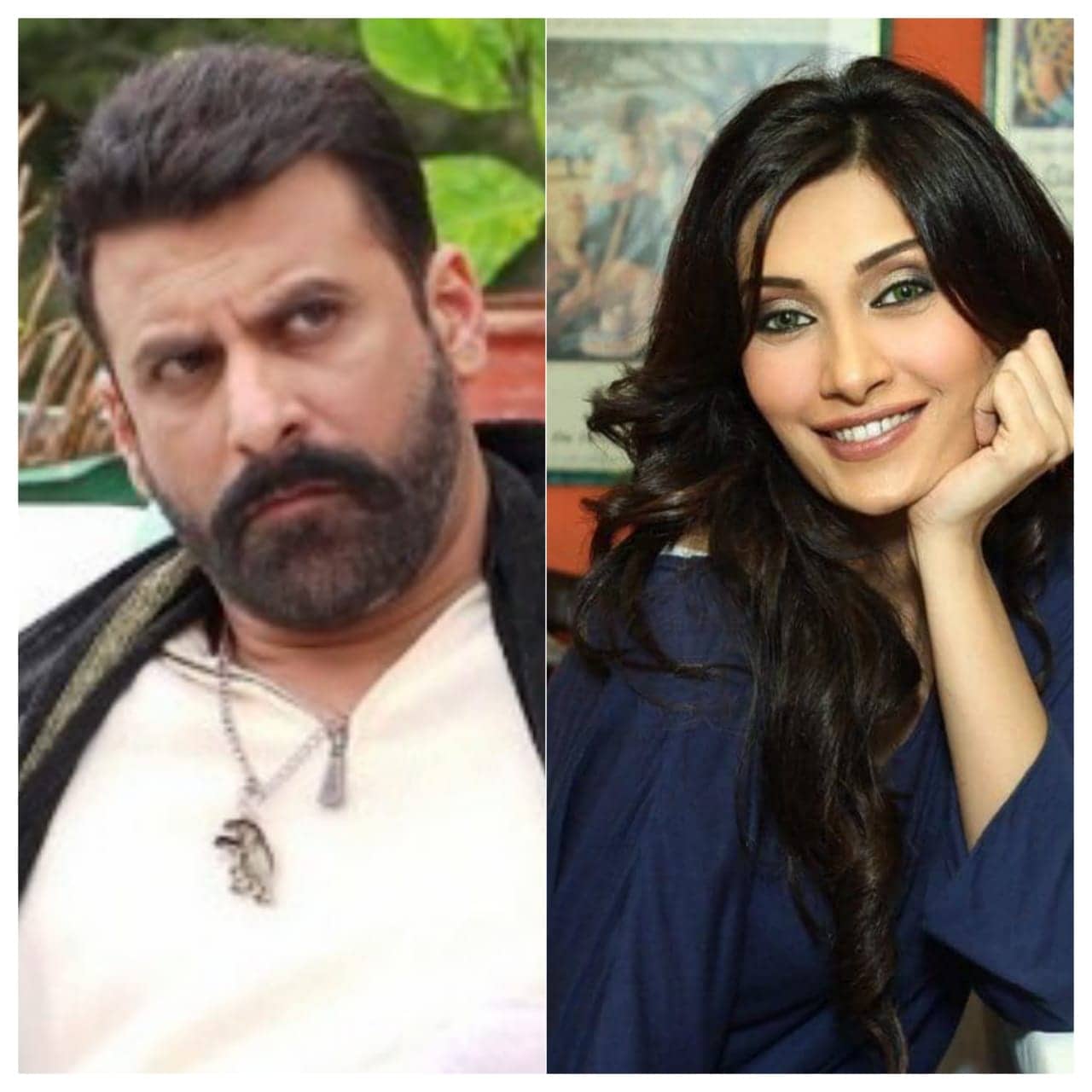Is Shamoon Abbasi married to Sherry Shah? - Daily Pakistan English News