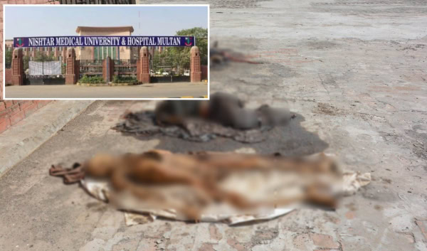 Twitter in uproar over mishandling of abandoned bodies in Multan’s ...