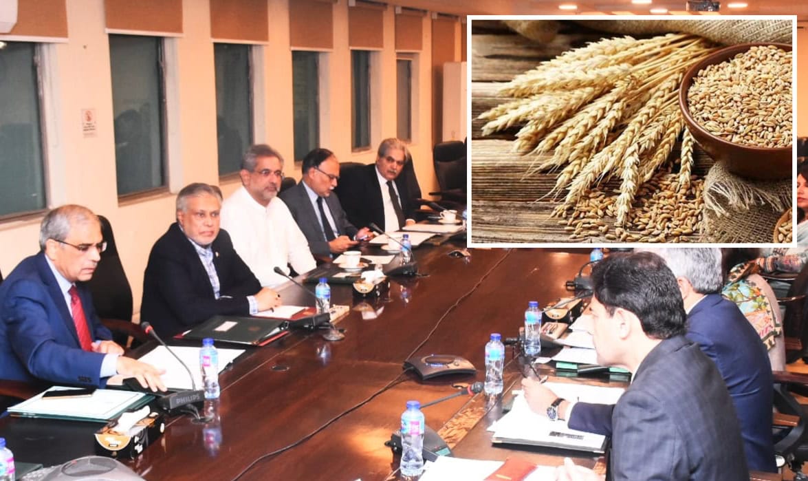 Pakistan approves importing wheat from Russia to avert food crisis