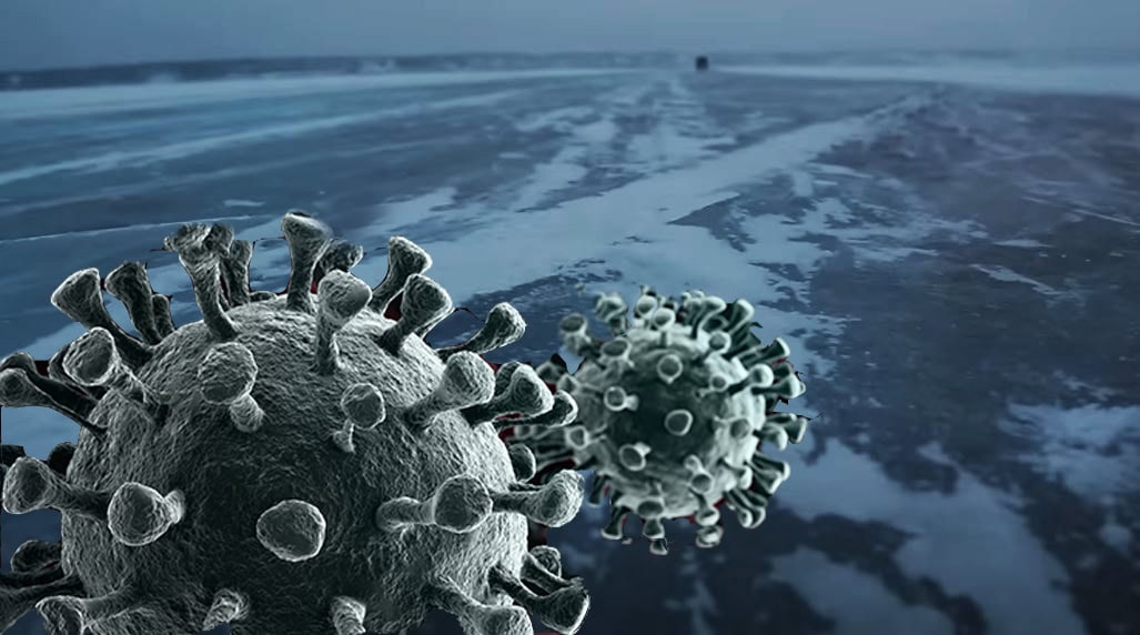 Scientists bring nearly 50,000-year-old Zombie viruses back to life