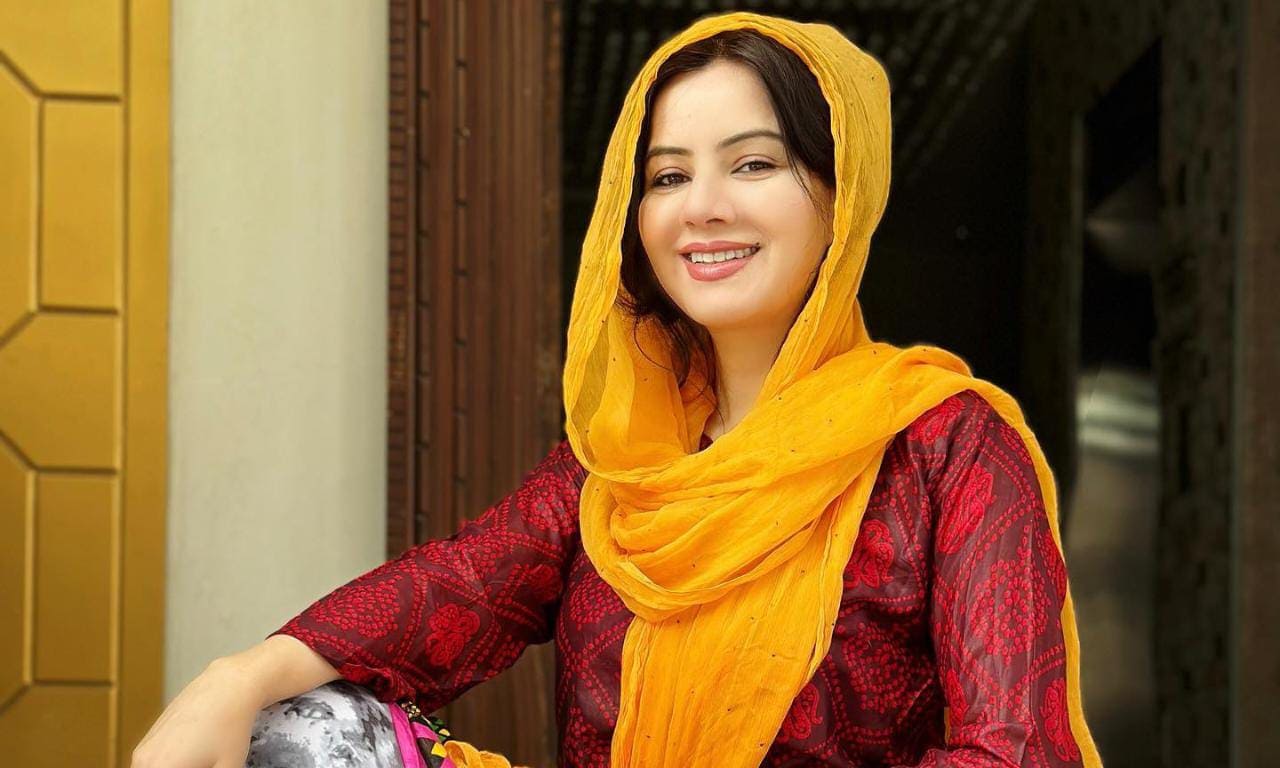 DP Exclusive — Rabi Pirzada finds a buyer for Maryam Nawaz portrait ...