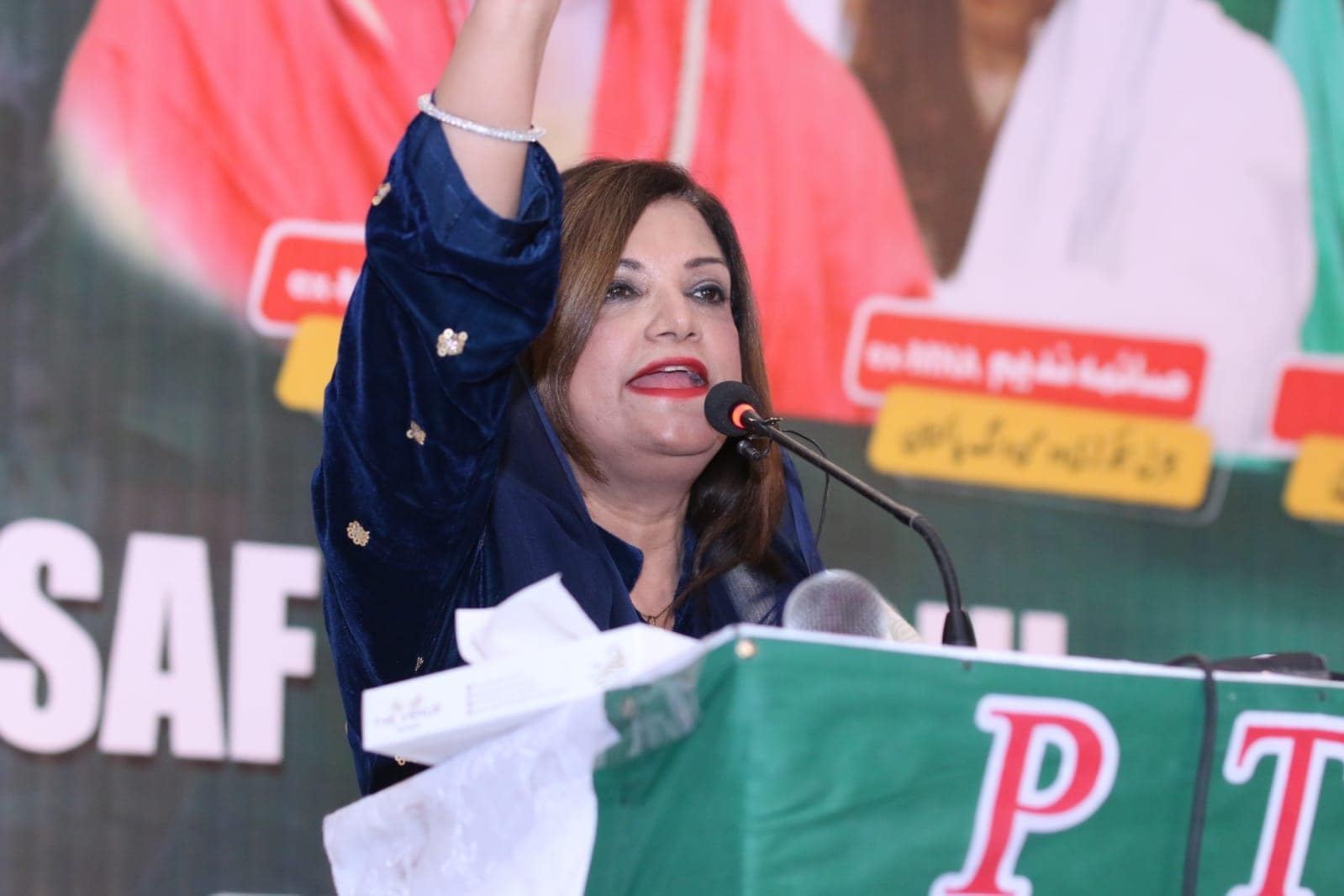 Ex-PTI MNA Saima Nadeem offloaded from Canada bound flight, taken into ...