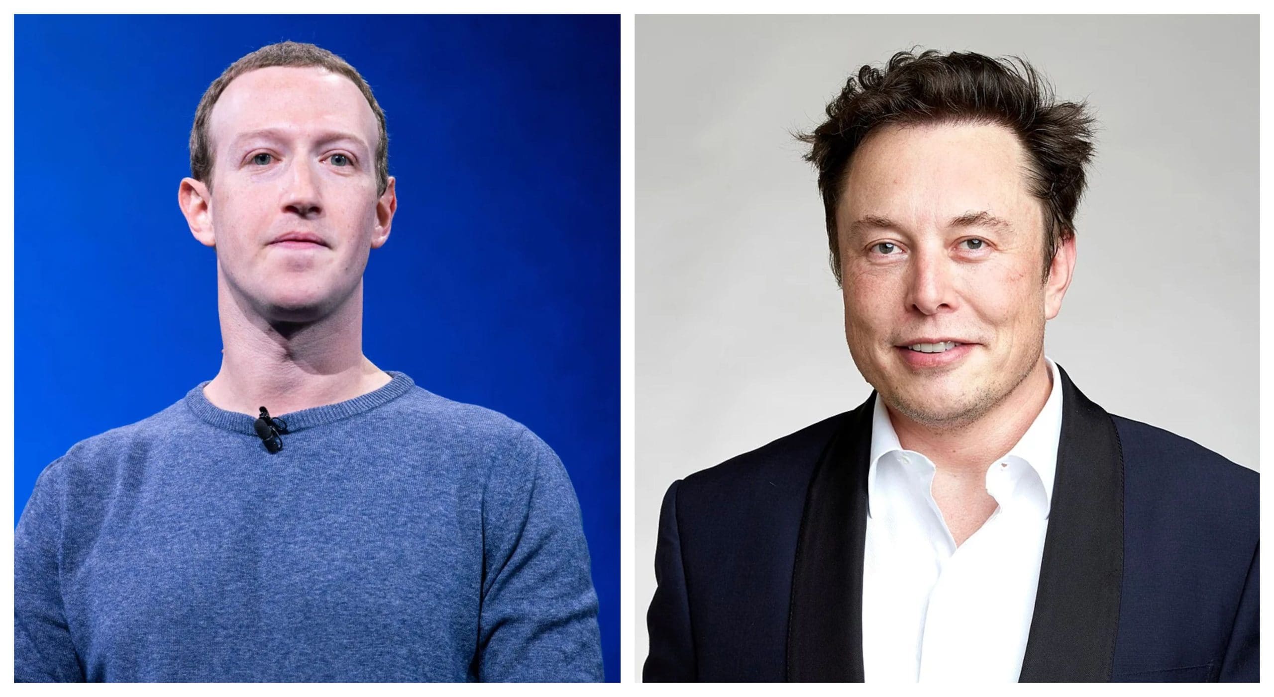 Mark Zuckerberg accepts Elon Musk s challenge to a cage match Mark Zuckerberg accepts Elon Musk s challenge to a cage match