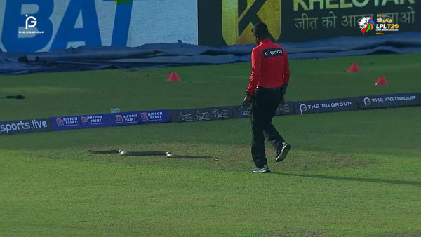 Large snake enters cricket ground, disrupts Lanka Premier League match