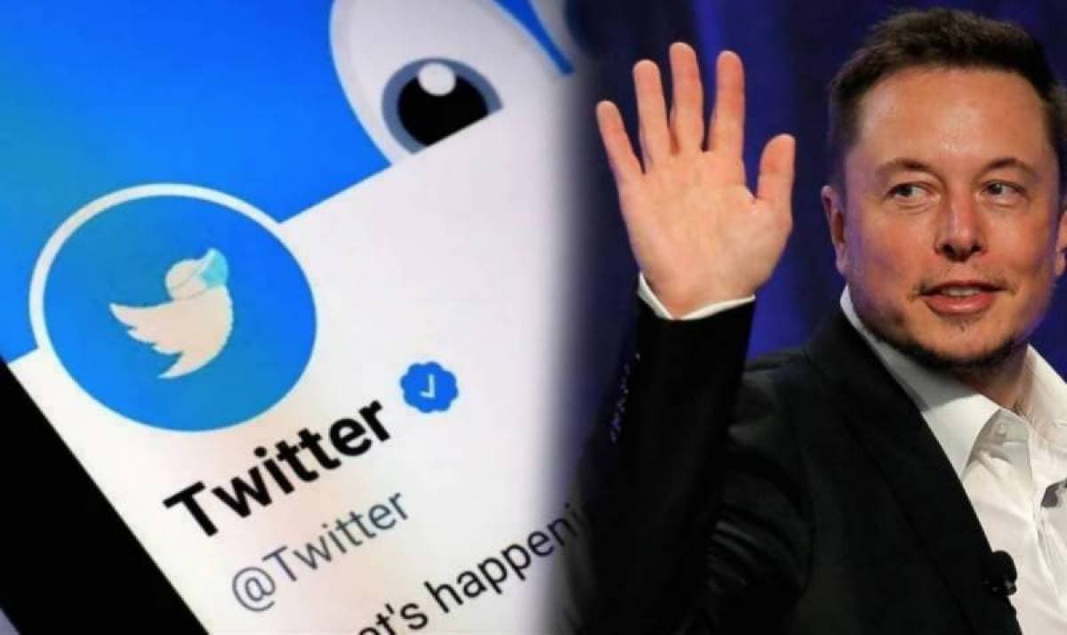 Twitter set to free its blue bird as Elon Musk announces to change ...