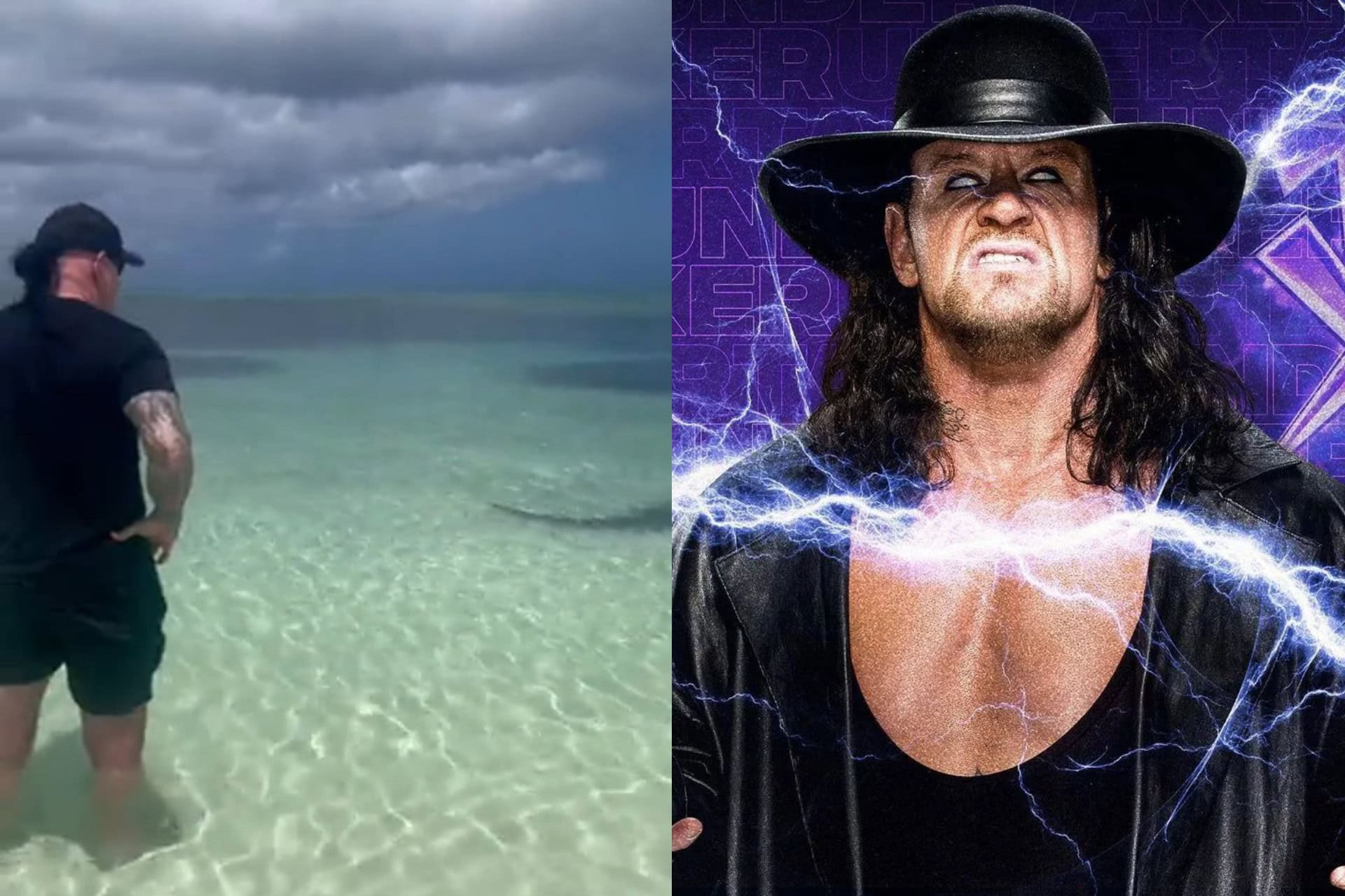 WWE wrestler The Undertaker protects his wife from a shark