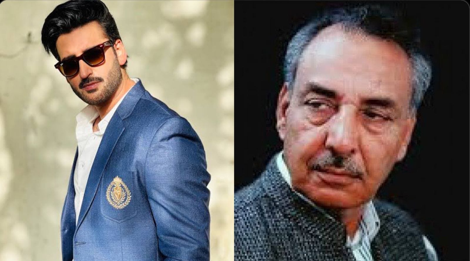 Inayat Hussain Bhatti: Agha Ali proud over late grandfather s ...