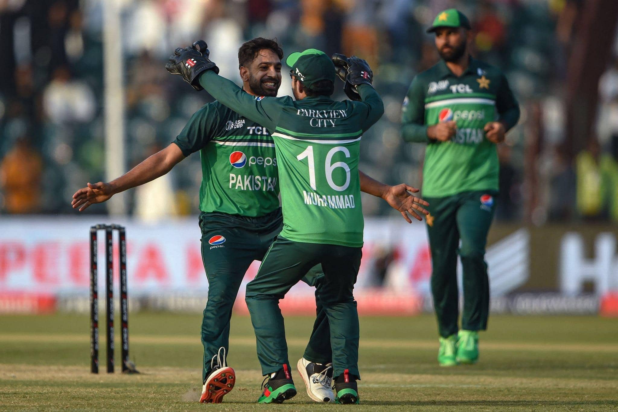 Haris Rauf becomes third-fastest Pakistan bowler to take 50 ODI wickets