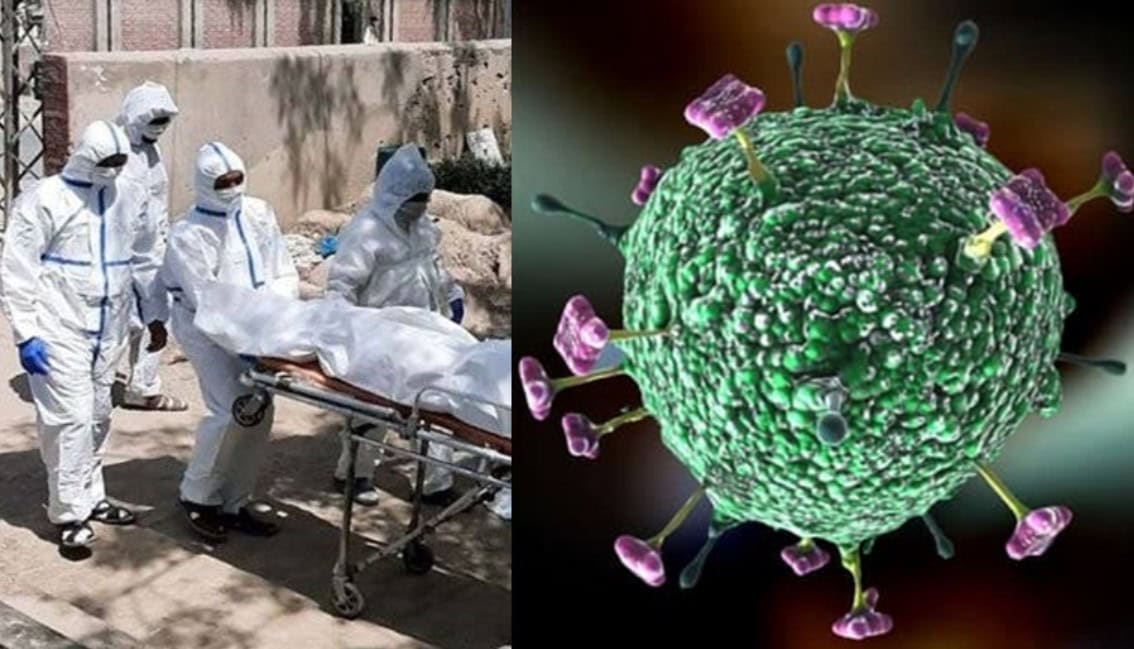 Nipah Virus alert sounded in KP: What is the new virus that can kill ...
