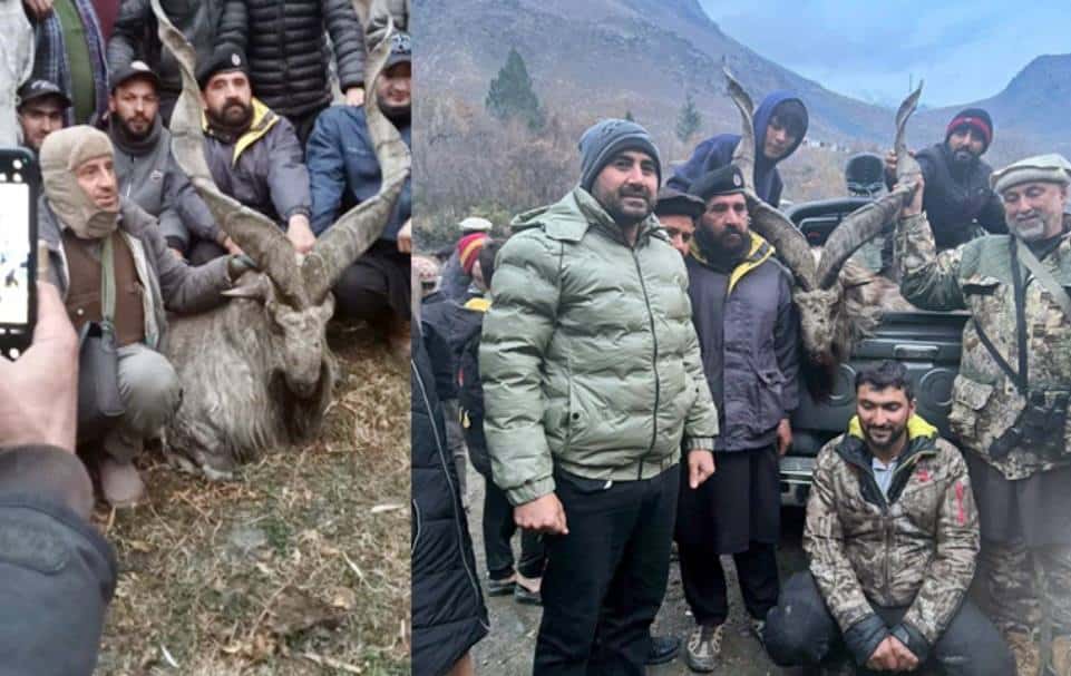 American hunts Markhor trophy in Chitral for record 232,000