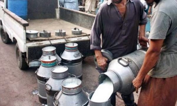 Milk, yogurt prices increase [Check Latest Rates]