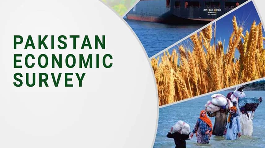 Muhammad Aurangzeb unveils Pakistan Economic Survey 2024-25