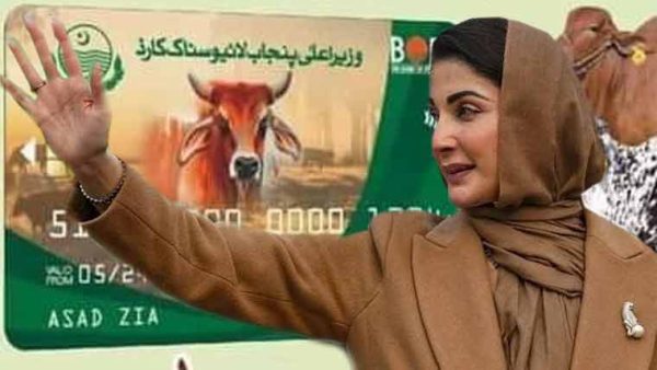 Punjab CM Maryam launches Livestock Card for rural women