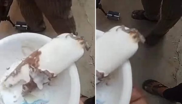 Lizard found in ice cream of 7-year-old boy