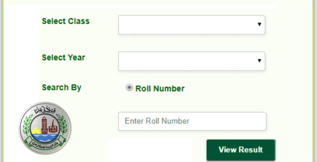 BISE Faisalabad 9th Class Result 2025 – Check result here