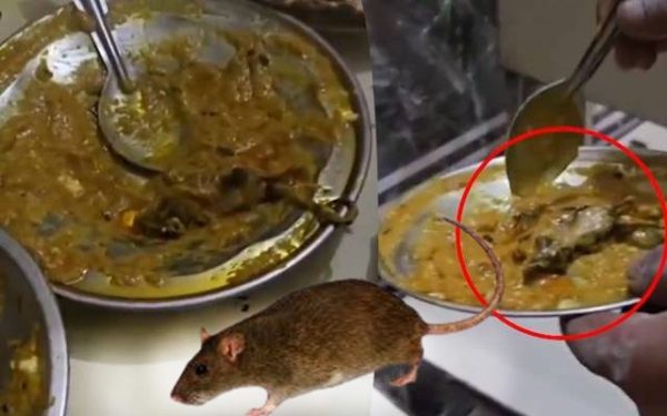 Dead Rat found in Curry at roadside Dhaba; Video goes viral