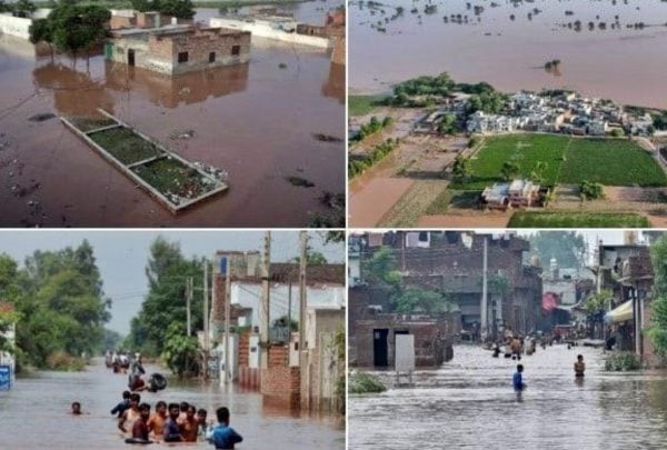 Ravi River Flood Update: Mai Safuran Embankment Breached to save Head ...