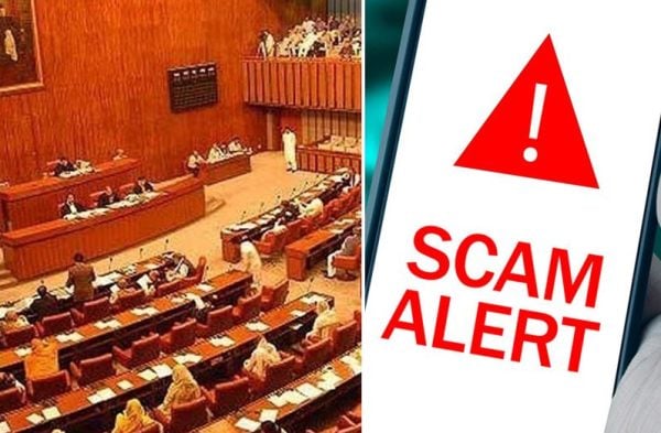 Pakistan senators lose Millions in Online Fraud cases; full details here