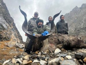American Hunter pays Rs7.56 Crore to hunt Rare Kashmiri Markhor in Pakistan