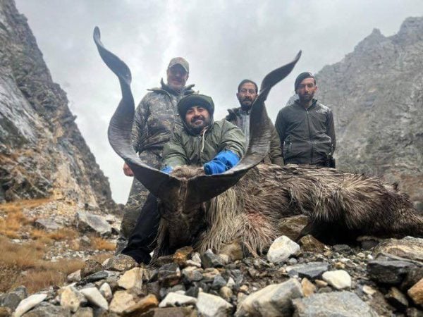 American Hunter pays Rs7.56 Crore to hunt Rare Kashmiri Markhor in Pakistan
