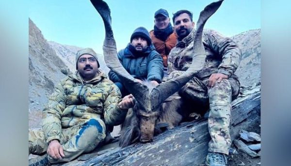 American Hunter pays Rs7.56 Crore to hunt Rare Kashmiri Markhor in Pakistan