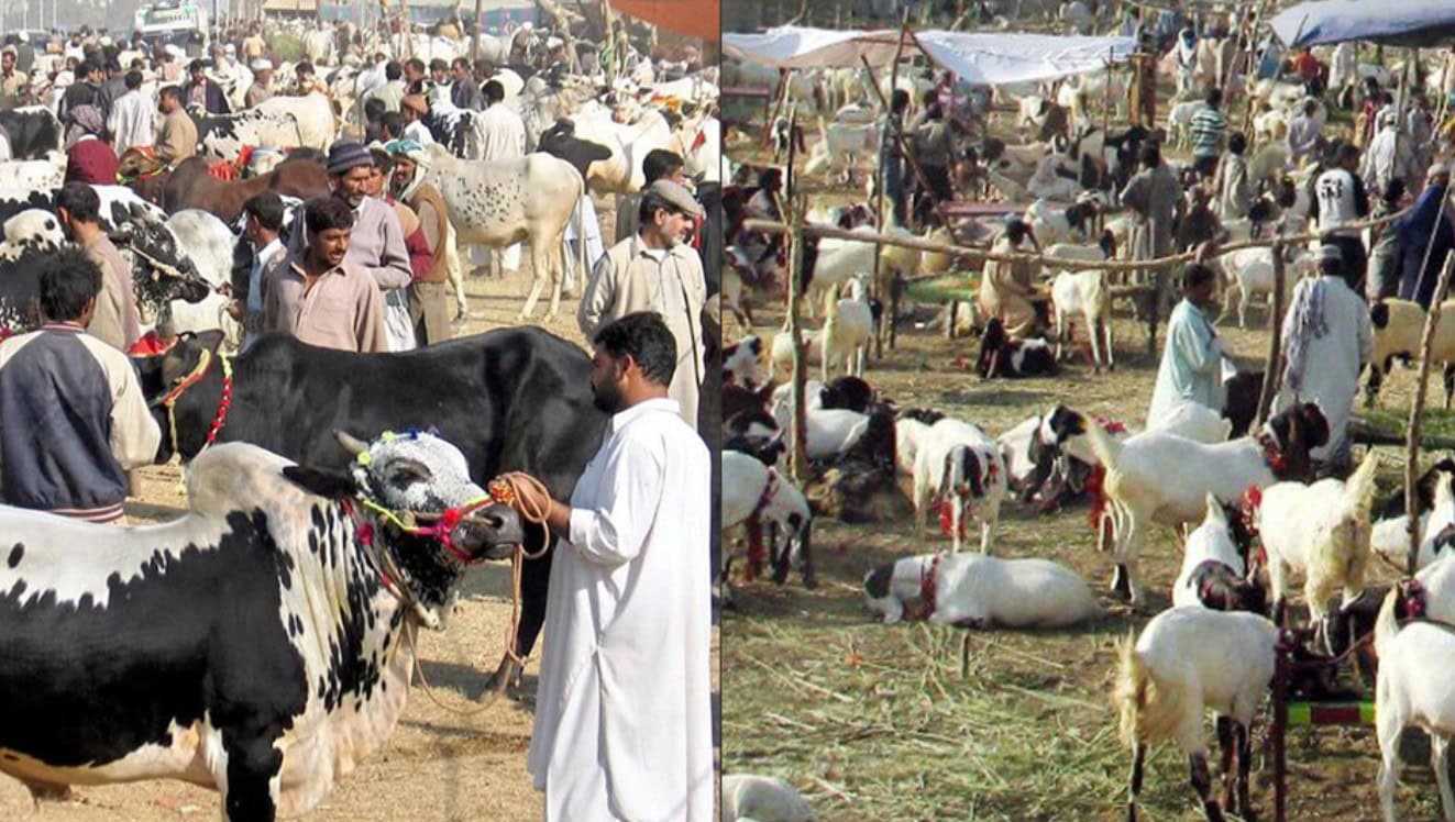 Pakistan News - Daily Pakistan English News